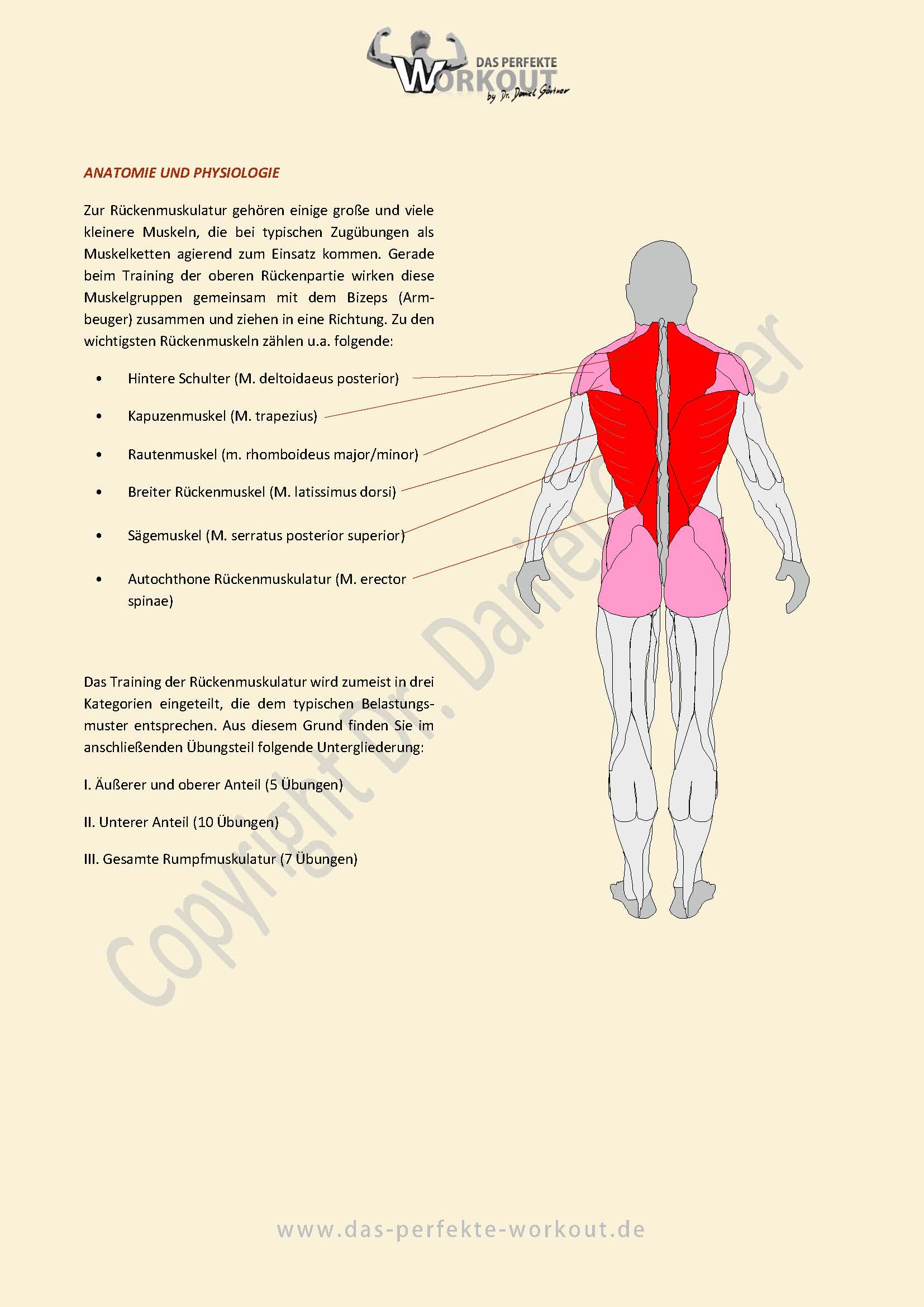 Bodyweight Training – Rücken – Dr. Daniel Gärtner